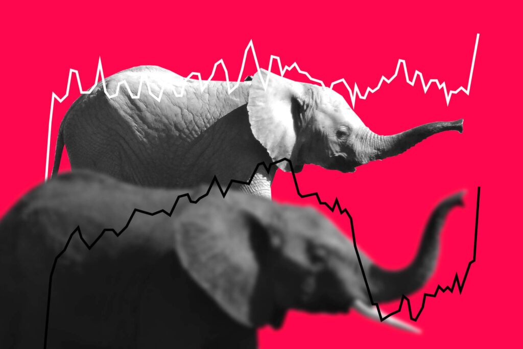 This Chart Explains Wealth Inequality: The Elephant Graph | StreetFins®
